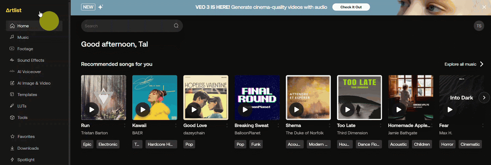 Getting started with Artlist – Artlist