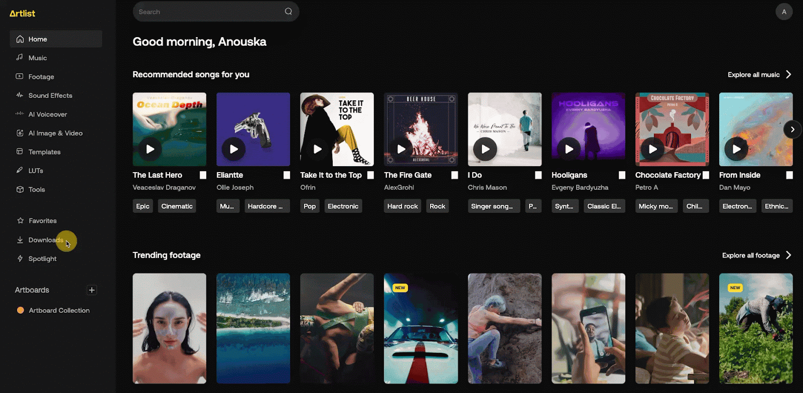 Downloading Artlist’s assets – Artlist